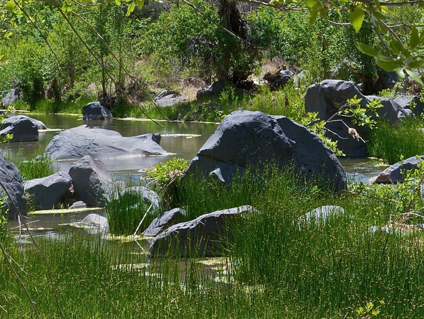 Outstandingly Remarkable Values - Wild Verde River